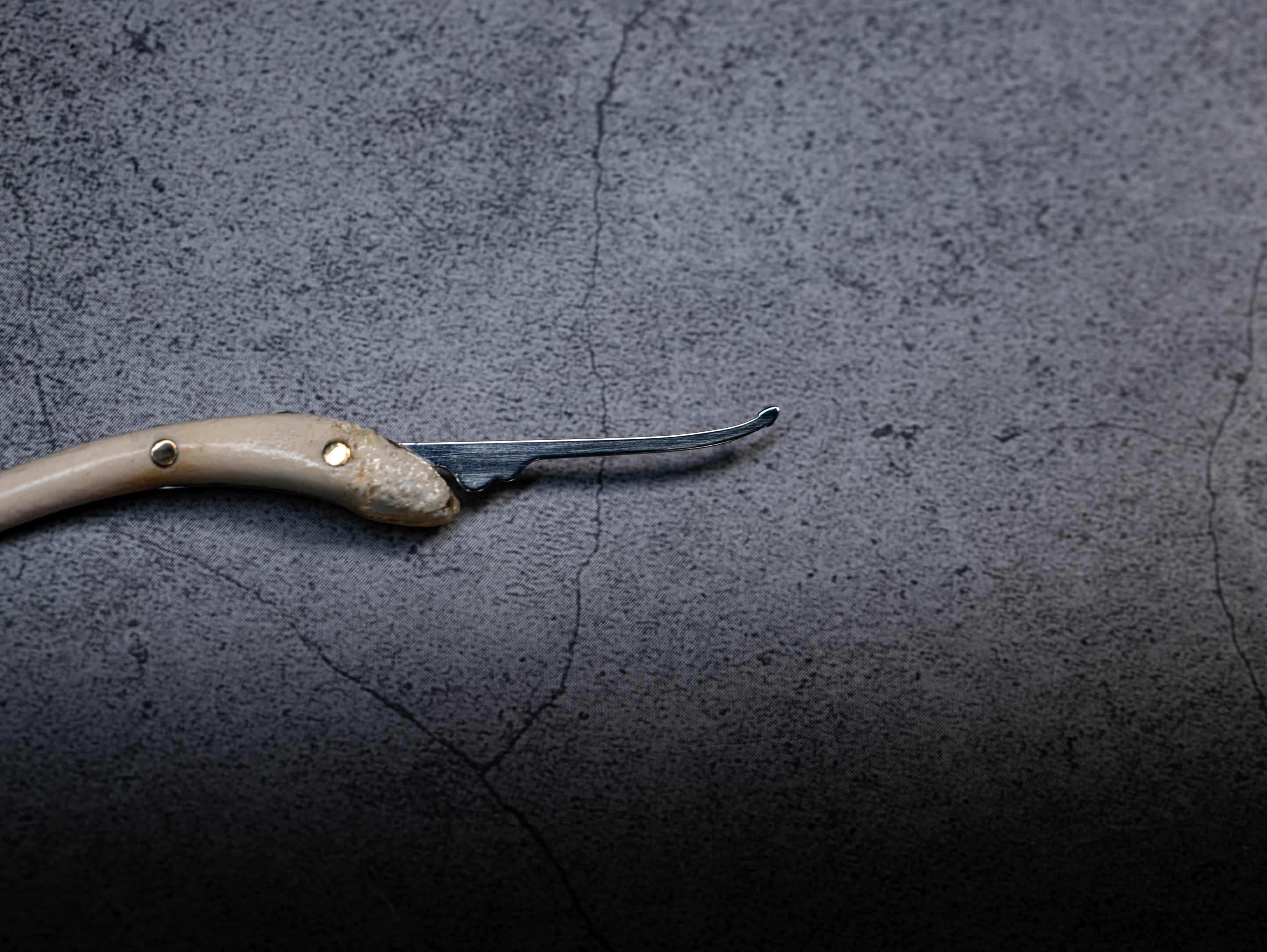 CHOP SHOP LockPickingDev Raccoon "Dick Pick" Custom Lock Pick – Covert ...