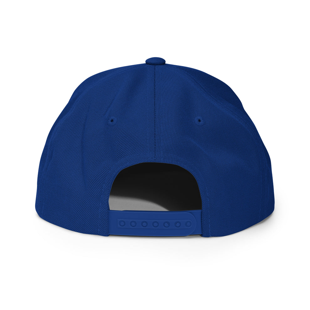 CI Snapback Hat – Covert Instruments